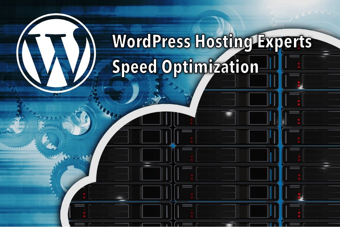 Florida Website Design, Search Engine Optimization and Hosting